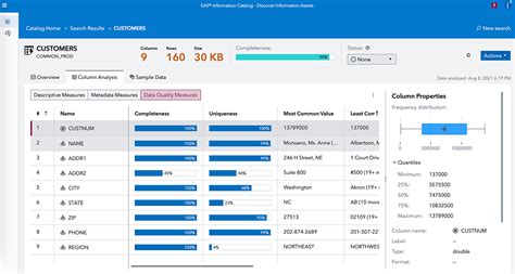 data governance sas