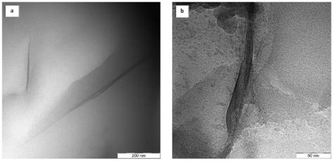 Tem Image Of Prepared Pi3mmt Nc A By In Situ Polymerization