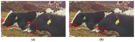 Sustainability Free Full Text Multi Target Rumination Behavior Analysis Method Of Cows Based