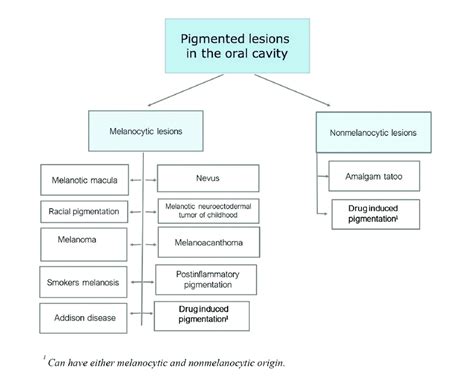 Classification Of The Most Frequent Melanocytic Lesions According To Download Scientific