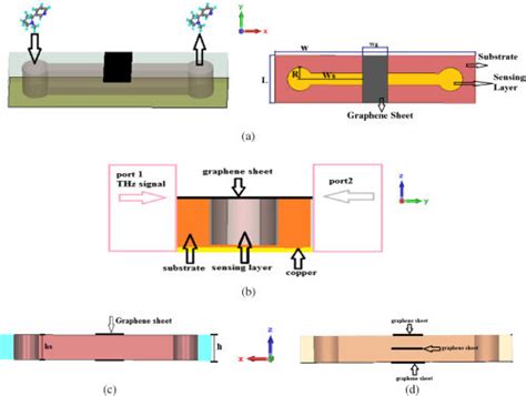 Biosensors A And B The Initial Biosensor C The Biosensor With Download Scientific