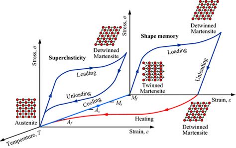 Schematic Diagram Of Different Phases Of A Sma Superelasticity Se Download Scientific