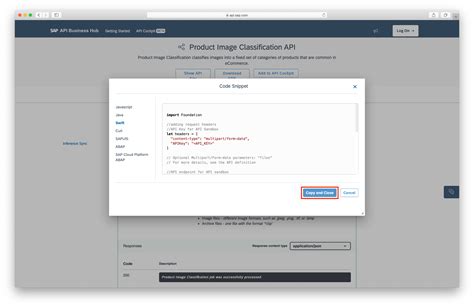 Use The Image Classifier API On SAP BTP SAP Tutorials