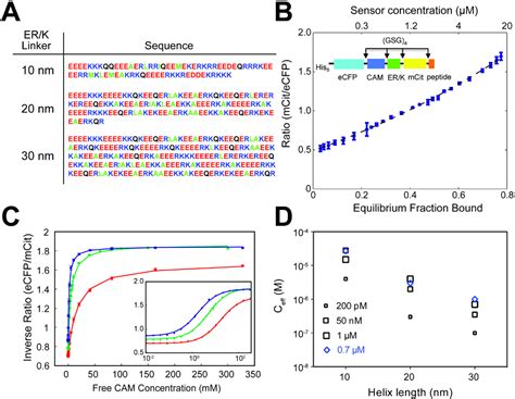 Figure 1 From Er K Link Leveraging A Native Protein Linker To Probe