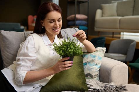 장식용 식물을 들고 세련된 현대적인 편안한 소파에 앉아 살이 포동 포동하게 찐 가구 가게에서 쇼핑하는 아름다운 중년 여성