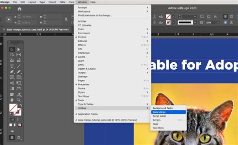 How To Use Indesign Data Merge For Text And Image Automation Be The Bean