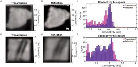 Through Substrate Terahertz Time Domain Reflection Spectroscopy For Environmental Graphene