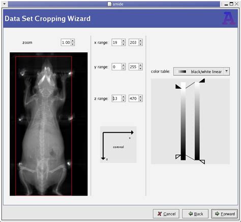 Amide A Medical Image Data Analysis Tool