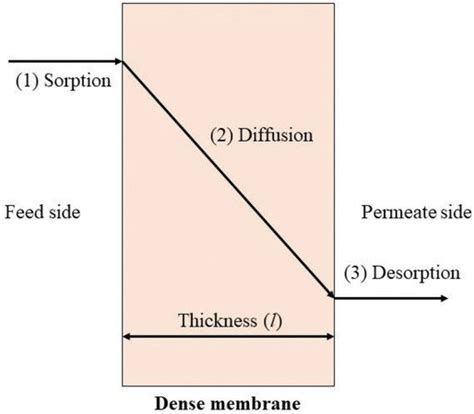 Illustration Of The Three Steps Involved In The Solution Diffusion