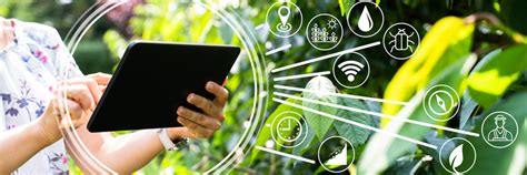 Crop Yield Tracking Has Vital Role In Elevating Ag Efficiency