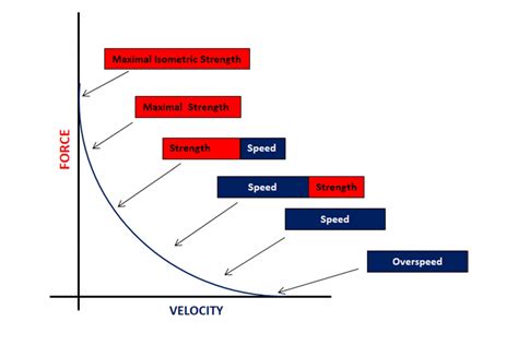 Late Stage Acl Rehab Using Speed Strength Continuum