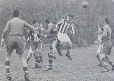 Fred Hatfield Powerlifting Para Principiantes Lucio Doncel