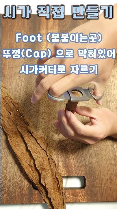 시가 커터 Youtube