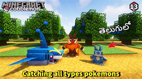 Minecraft Cobblemon Catching All Types Pokemons 13 In Telugu