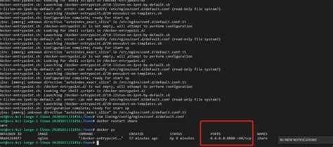 docker 容器中部署项目后一直重启原因 netcore 自动重启了 原因 csdn博客