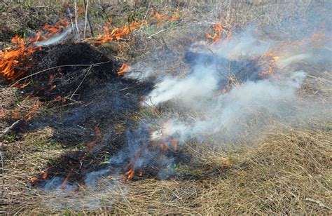Spring Dry Grass Fire Danger Burning Grass And Thatch Transforms