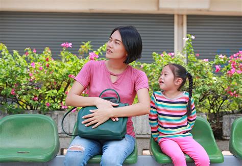 Multi School Bus Routing Alpharoute