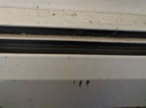 How To Safely Slow Stop Block Hot Water Baseboard Heating Home Improvement Stack Exchange