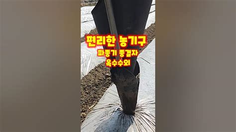 옥수수 파종기 이식기 편리한 농기구 모종 이식기의 종결자 양손 파종기 콩모종 배추 배추 브로콜리 풀뿌리농장 Shorts Youtube
