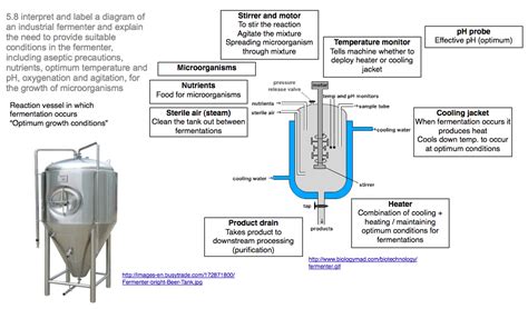 Qings Biology Blog February 2012