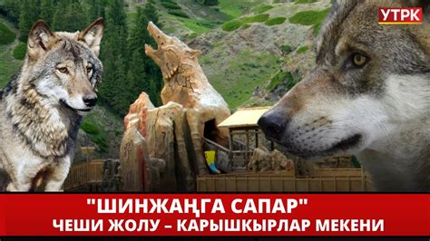 Чеши жолу – карышкырлар мекени // "Шинжаңга сапар" // 4 - көрсөтүү ...
