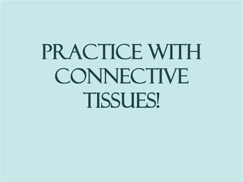 PPT Lab Exercise Classification Of Tissues Connective Tissue PowerPoint Presentation ID