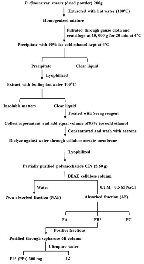 Extraction And Fractionation Of Polysaccharides From P Djamor Var Roseus Download