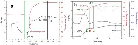 Detection Of Phase Transition Of Dppc Liposomes By Nps Liposome Download Scientific Diagram