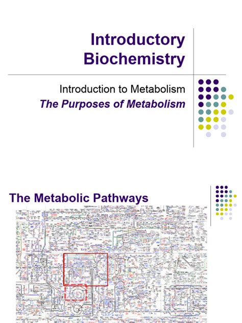 Troduction To Metabolism Complete Pdf Metabolism Metabolic