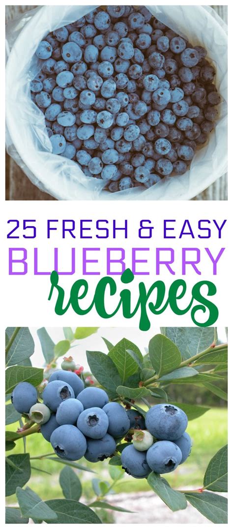 25 Fresh Blueberry Recipes Blueberry And Cranberry Relish