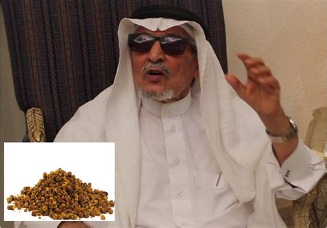 جابر القحطاني يكشف عن فوائد عكبر النحل مـزمـز