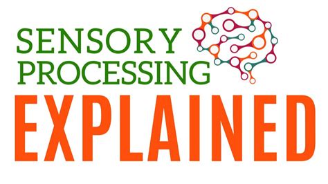 Sensory Processing Explained Sensoryprocessingexplained Profile