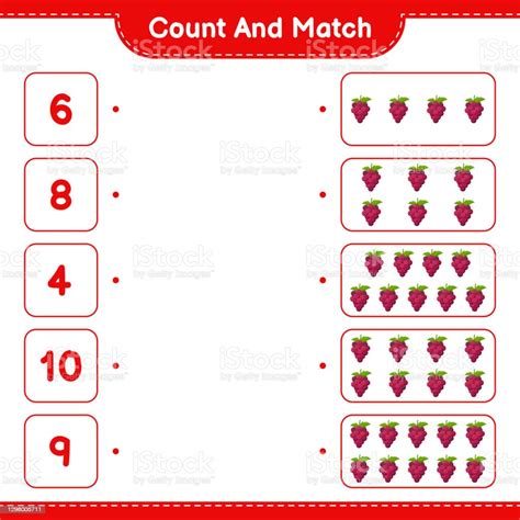 카운트 앤 매치 포도 의 수를 계산하고 오른쪽 숫자와 일치합니다 교육 어린이 게임 인쇄 워크 시트 벡터 일러스트레이션 0명에