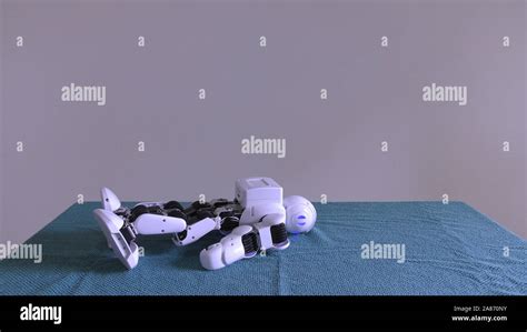 A Domestic Android Humanoid Robot Succumbs To Dangerous Signal From