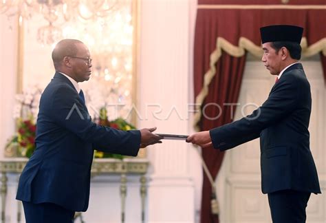 Ambassador Namibia Antara Foto