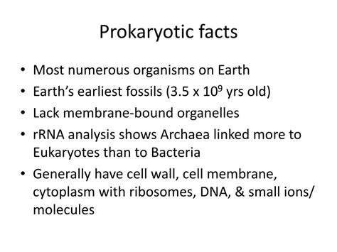 Ppt Prokaryotes Powerpoint Presentation Free Download Id 2016325
