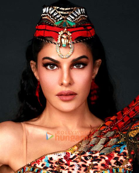 Jacqueline Fernandez Photos Images Hd Wallpapers Jacqueline