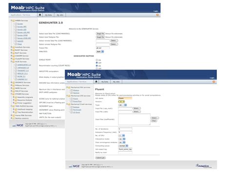 moab hpc suite application portal edition