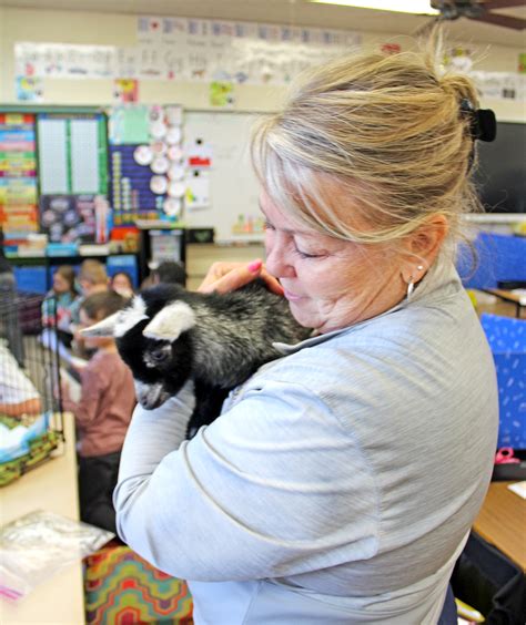 The ‘goat Of Class Pets Courier Press The Guttenberg Press