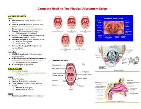 Solution Complete Head To Toe Physical Assessment Script S Syed