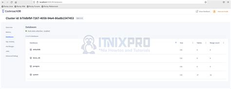 Install Cockroachdb On Rocky Linux