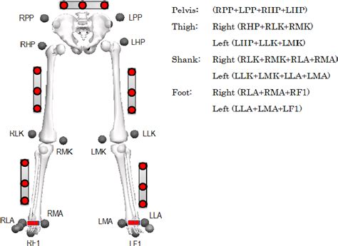 Figure From Understanding Gait Control Dynamics Ageing Effects On Falling Risks Semantic