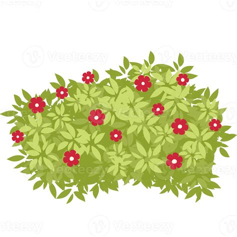 Bush With Flowers Illustration Png