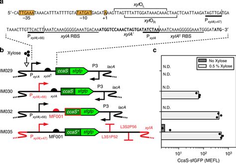 Debugging And Optimization Of The Light Sensing Module A Annotated