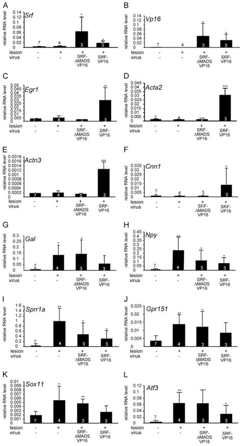 Validation Of Transcriptomics Data Cdnas Derived From Unlesioned Download Scientific Diagram