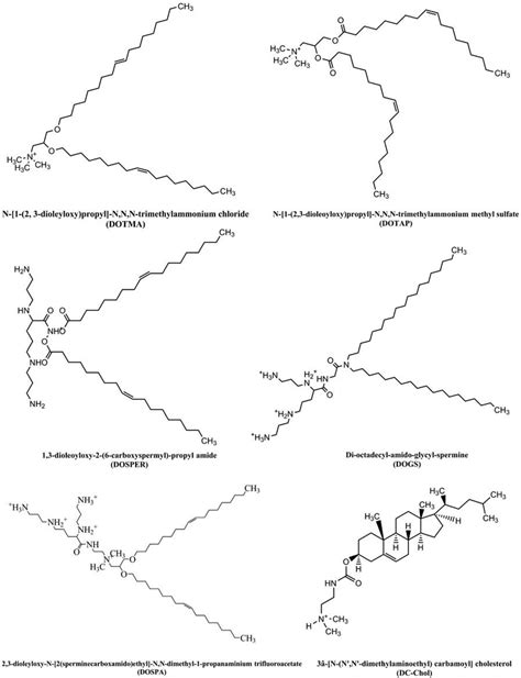 Structures Of Commonly Used Cationic Lipids In Synthetic Vectors For Download Scientific