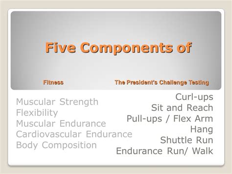 What Fitness Component Is Curl Ups Doctornonstop