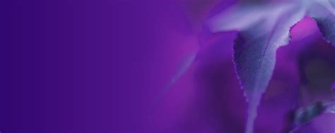 Lent Background Powerpoint