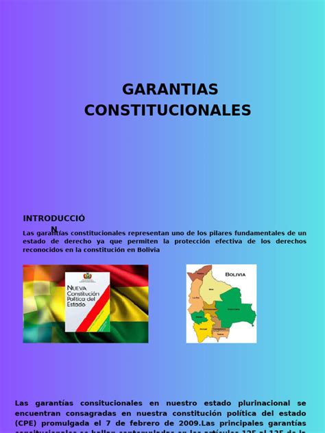 Garantias Constitucionales Pdf