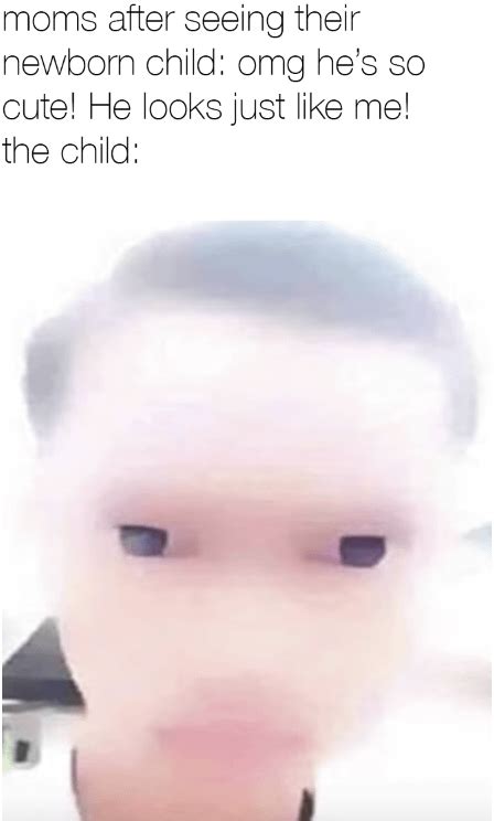 Hes So Cute R Dankmemes